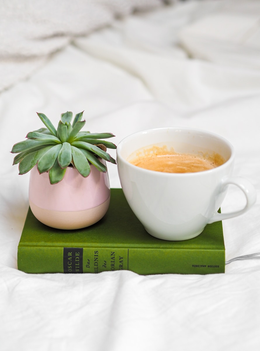 Rise and Shine: 19 Peaceful Habits for a Calm Start to Your Day - Shape ...