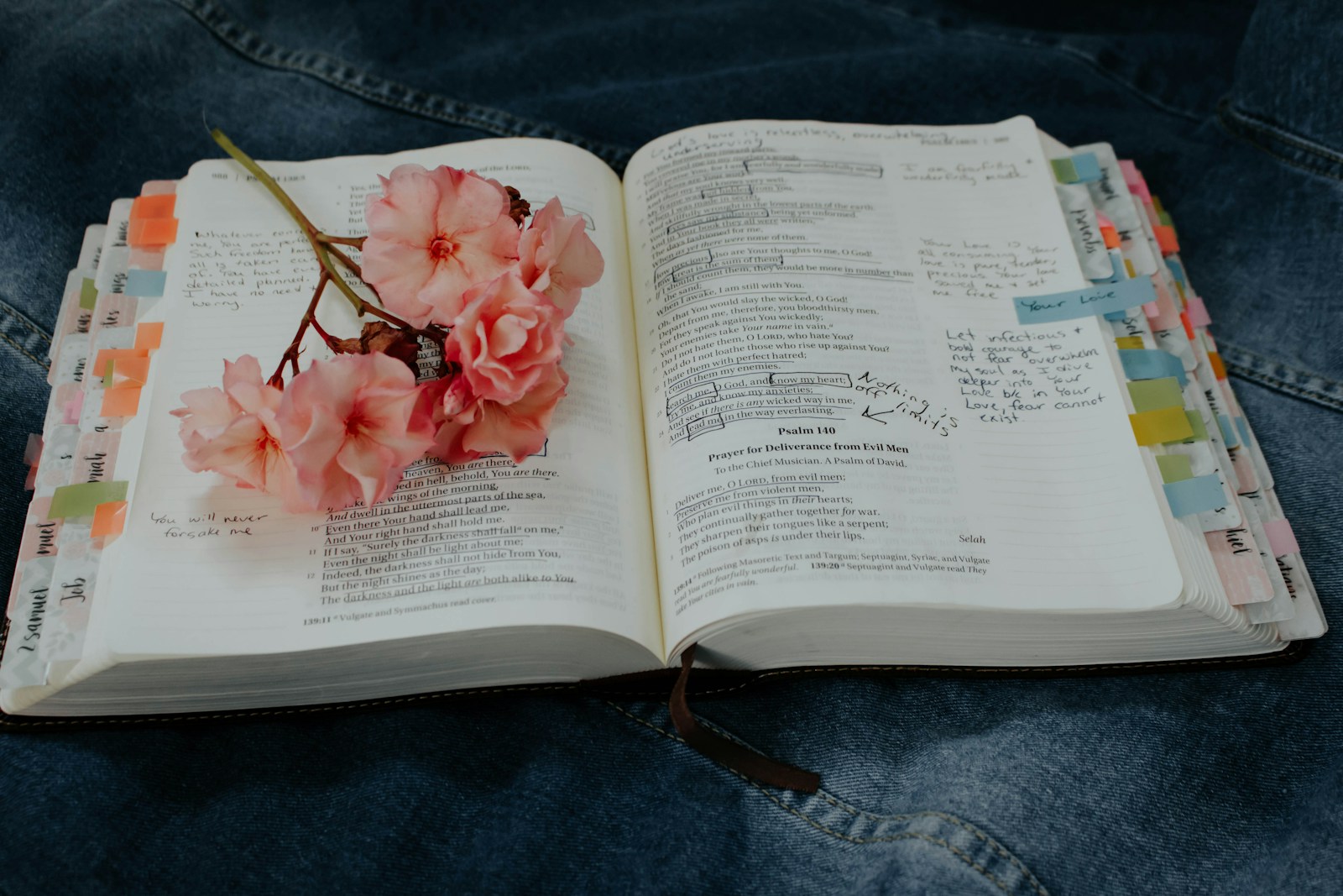 10 Cosy Subjects to Add to Your Fall Personal Curriculum - Shape & Joy